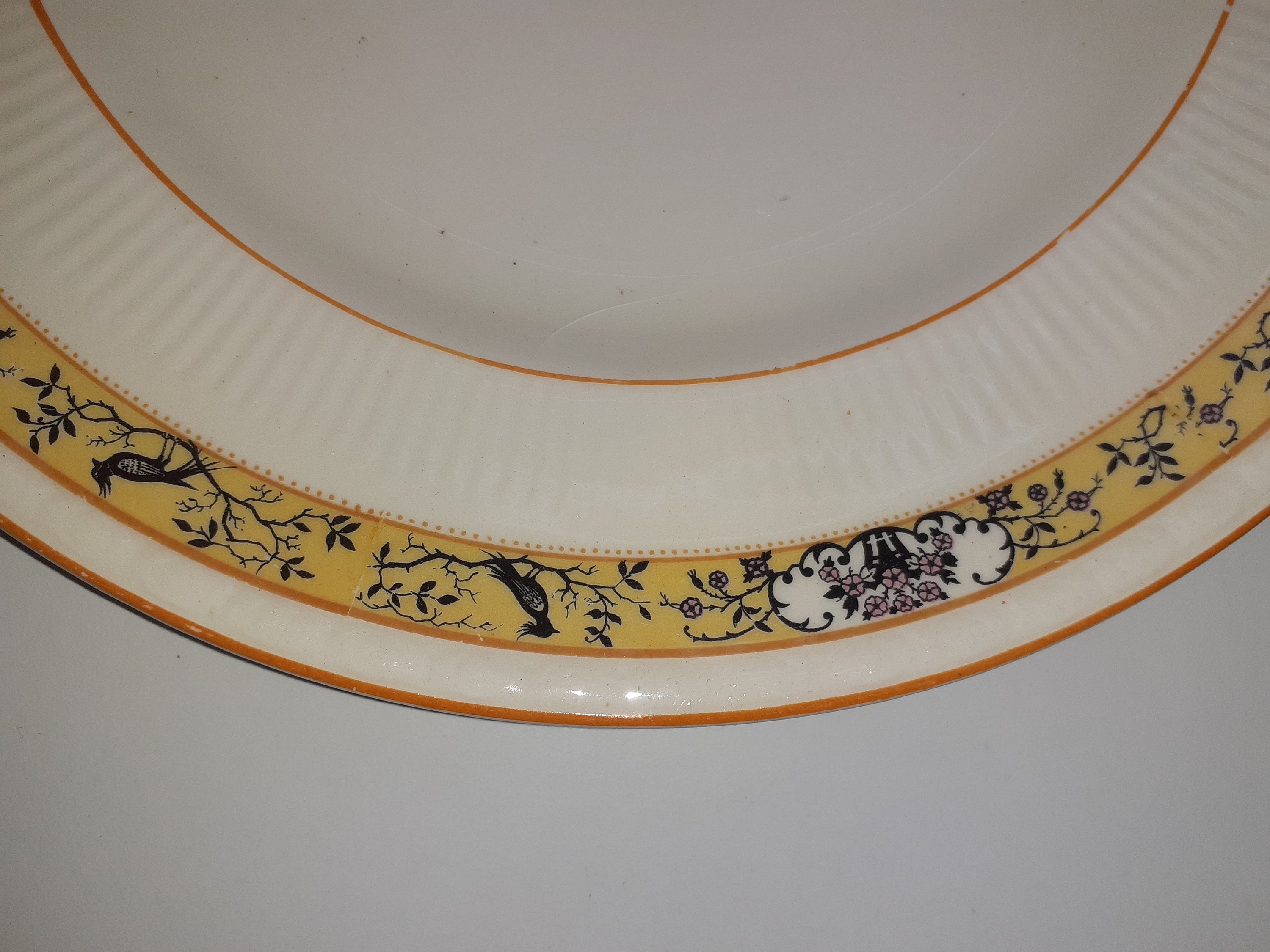 Myott China Birdette Pattern 1762 Set of 2 Dinner Plates 10 | Etsy