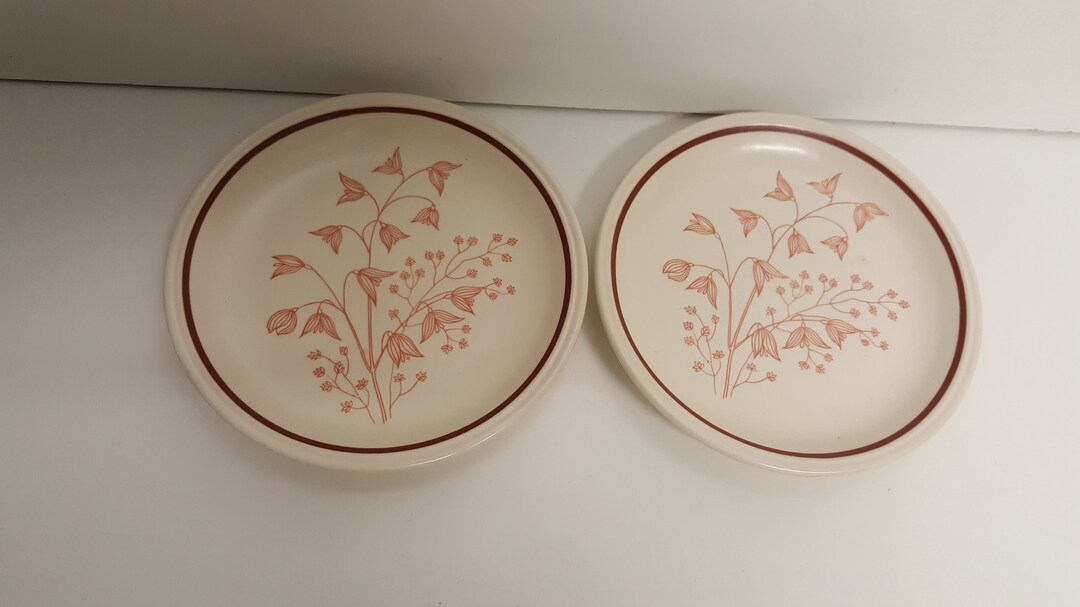 Vintage Biltons Red Flowers Brown Band Pattern Set of 2 Tea Plates 6 1/ ...