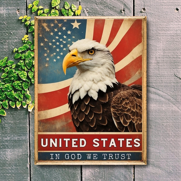 Outdoor Tin Metal Sign Eagle Flag - Etsy