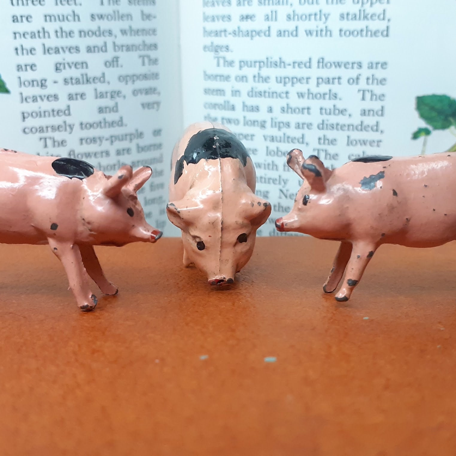 Vintage Trio of Pigs crescent and a Timpo Hedge 1950s - Etsy