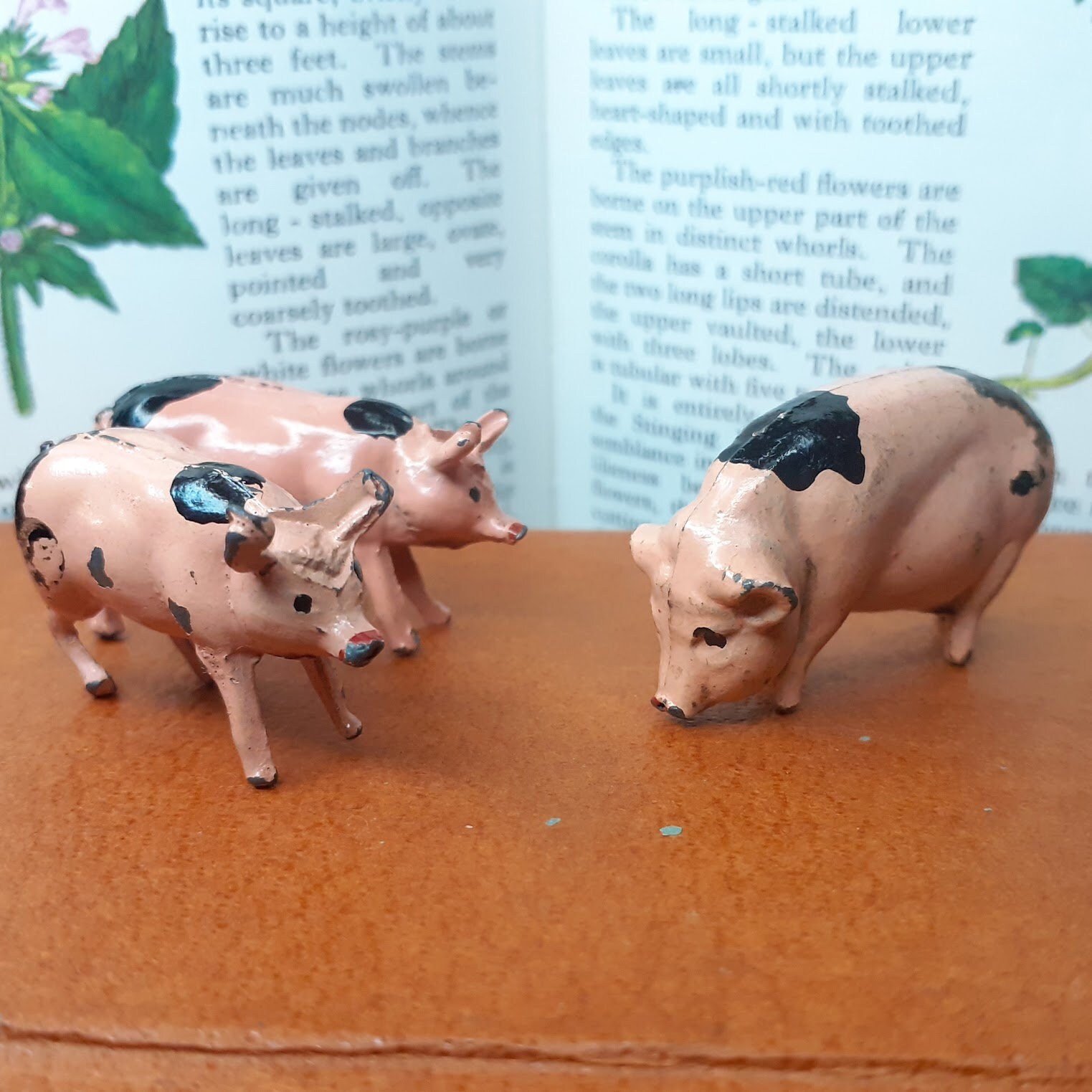 Vintage Trio of Pigs crescent and a Timpo Hedge 1950s - Etsy
