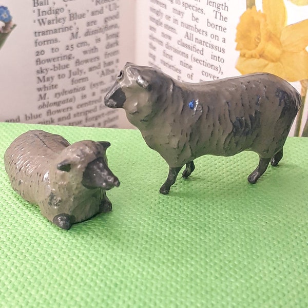Miniature Sheep - Etsy