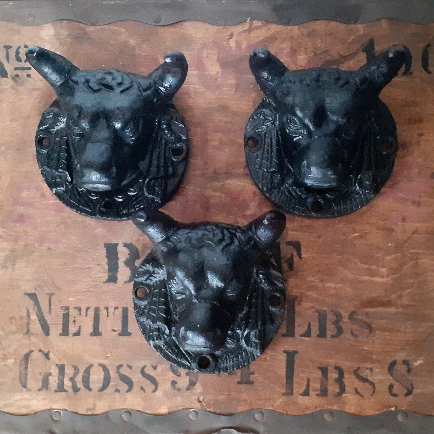 Vintage Cast Iron Bull's Head Plaque wall Mounted - Etsy