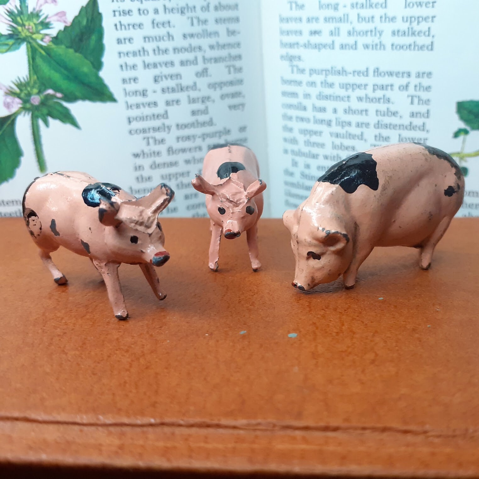 Vintage Trio of Pigs crescent and a Timpo Hedge 1950s - Etsy