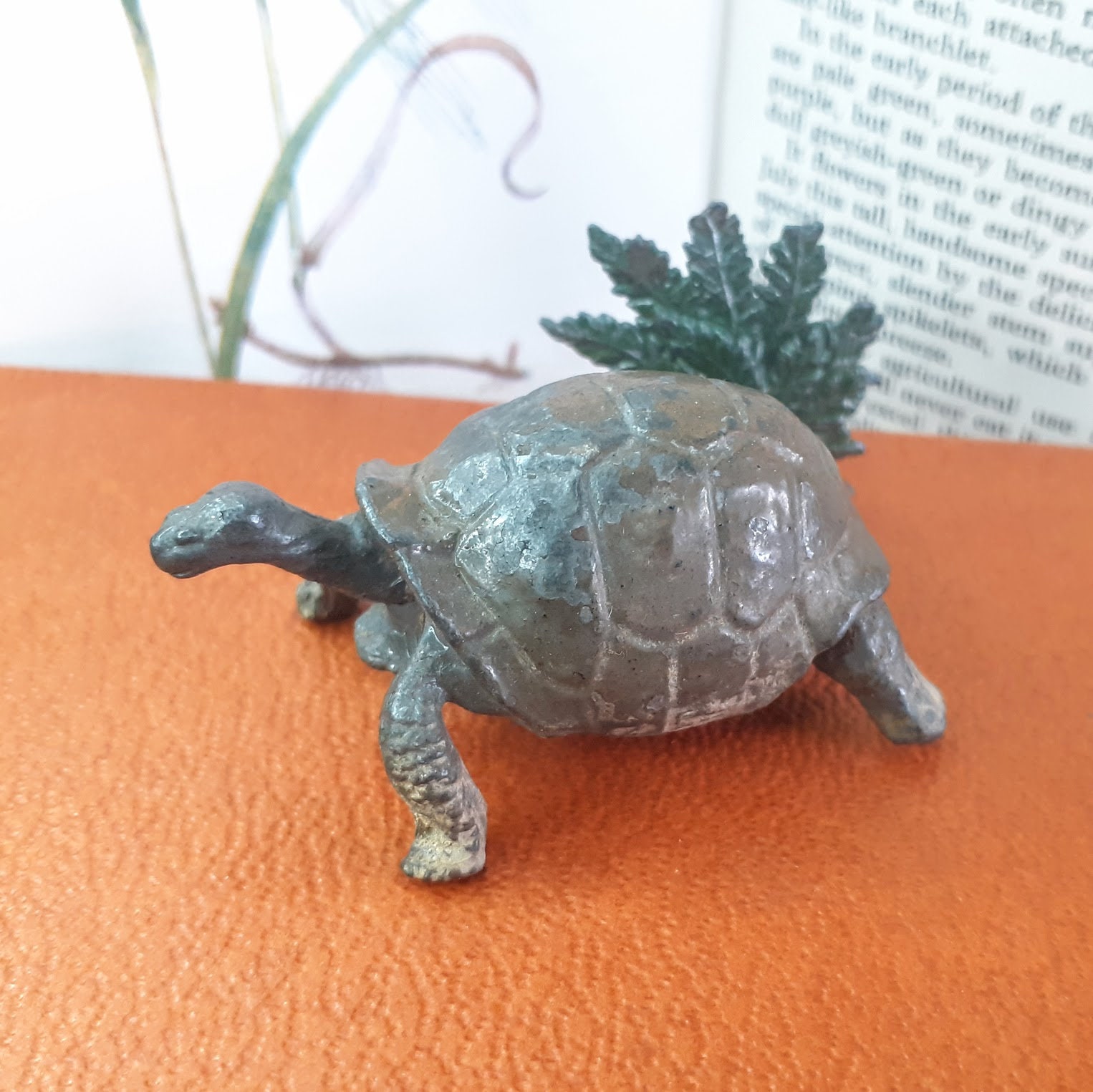 Vintage Giant Tortoise Britains Zoo Cat No 937 and a Garden Fern Lead ...