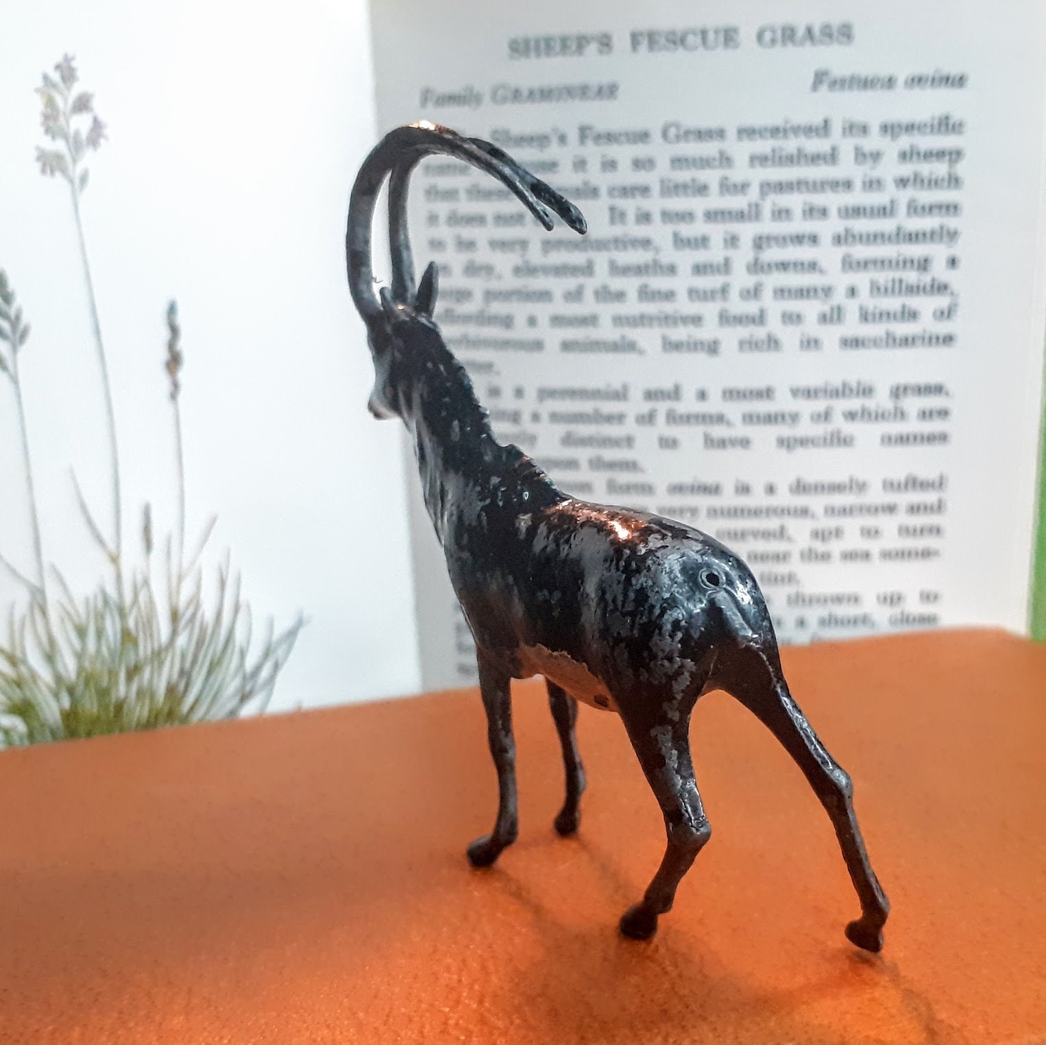 Vintage Sable Antelope Britains Zoo Cat No 945 1932 Hollow-cast Lead ...