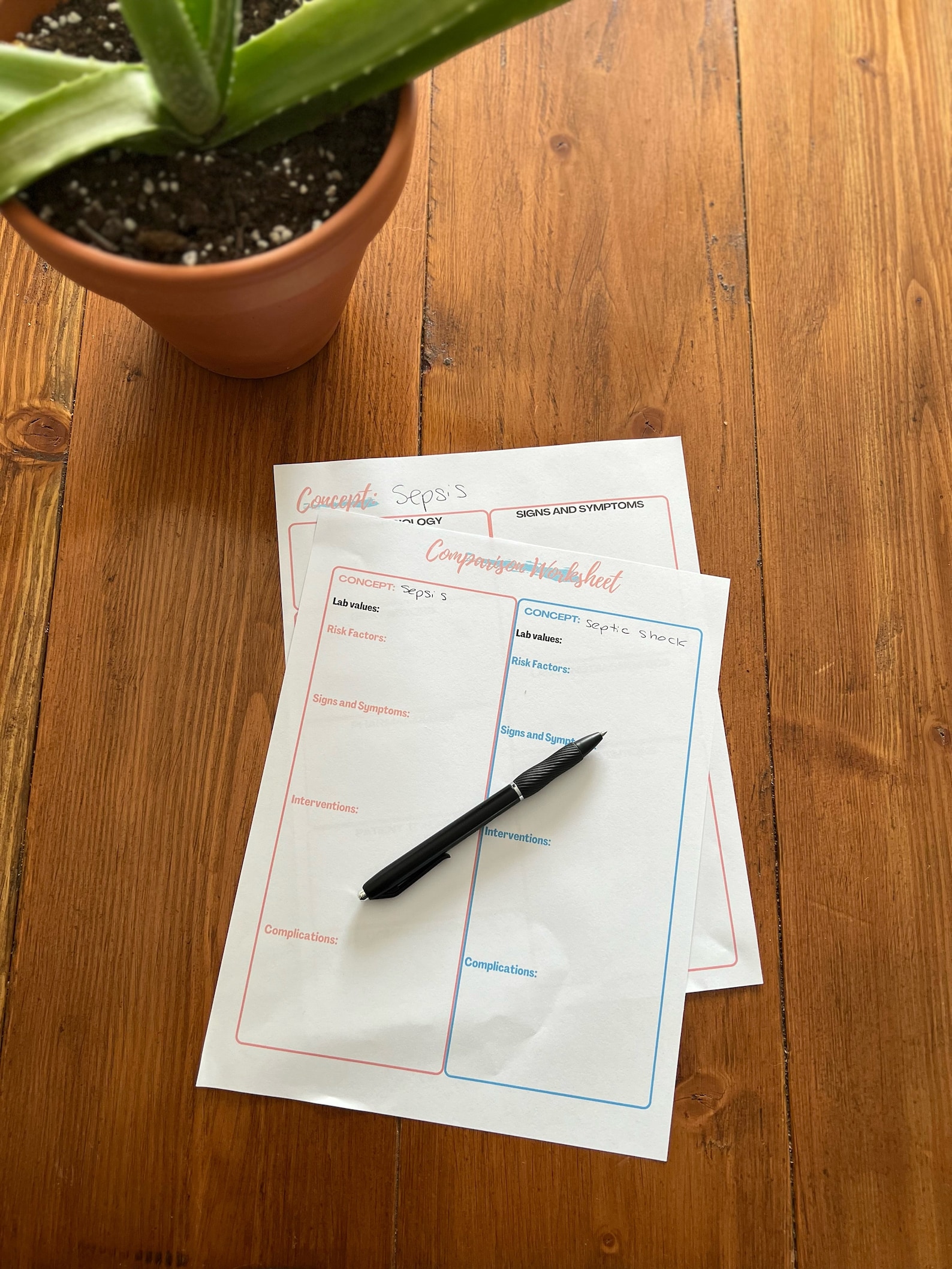 Nursing School Study Bundle - Printable - Nurse Concept Map Template ...