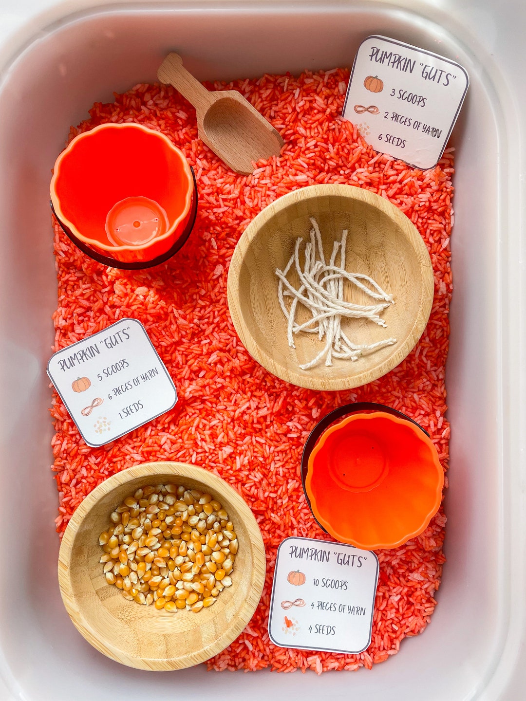 Pumpkin/fall Sensory Bin Activity Cards DIGITAL DOWNLOAD | Halloween ...