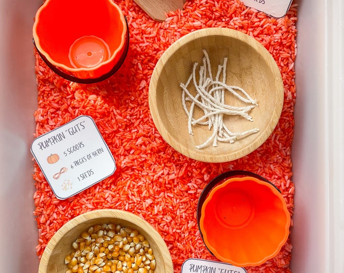 Pumpkin Halloween Sensory Bin Cards for Toddlers, Fall, Autumn ...