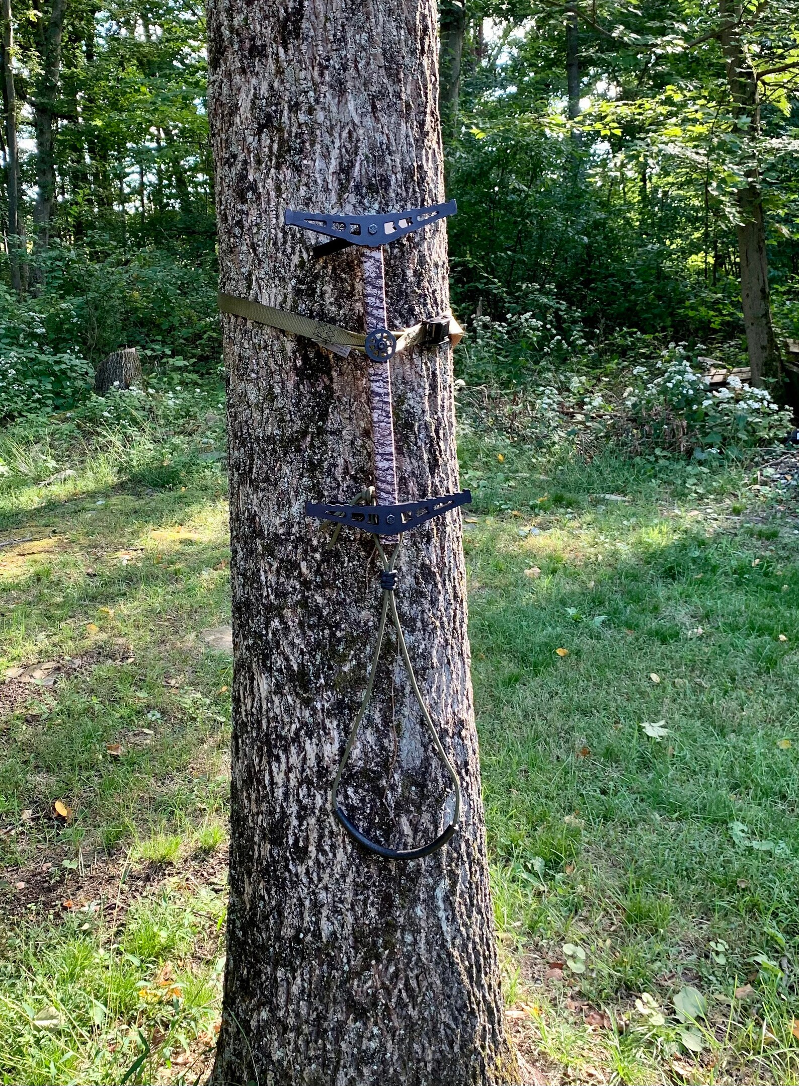 EZ Aider Lite single Step Aider - Etsy