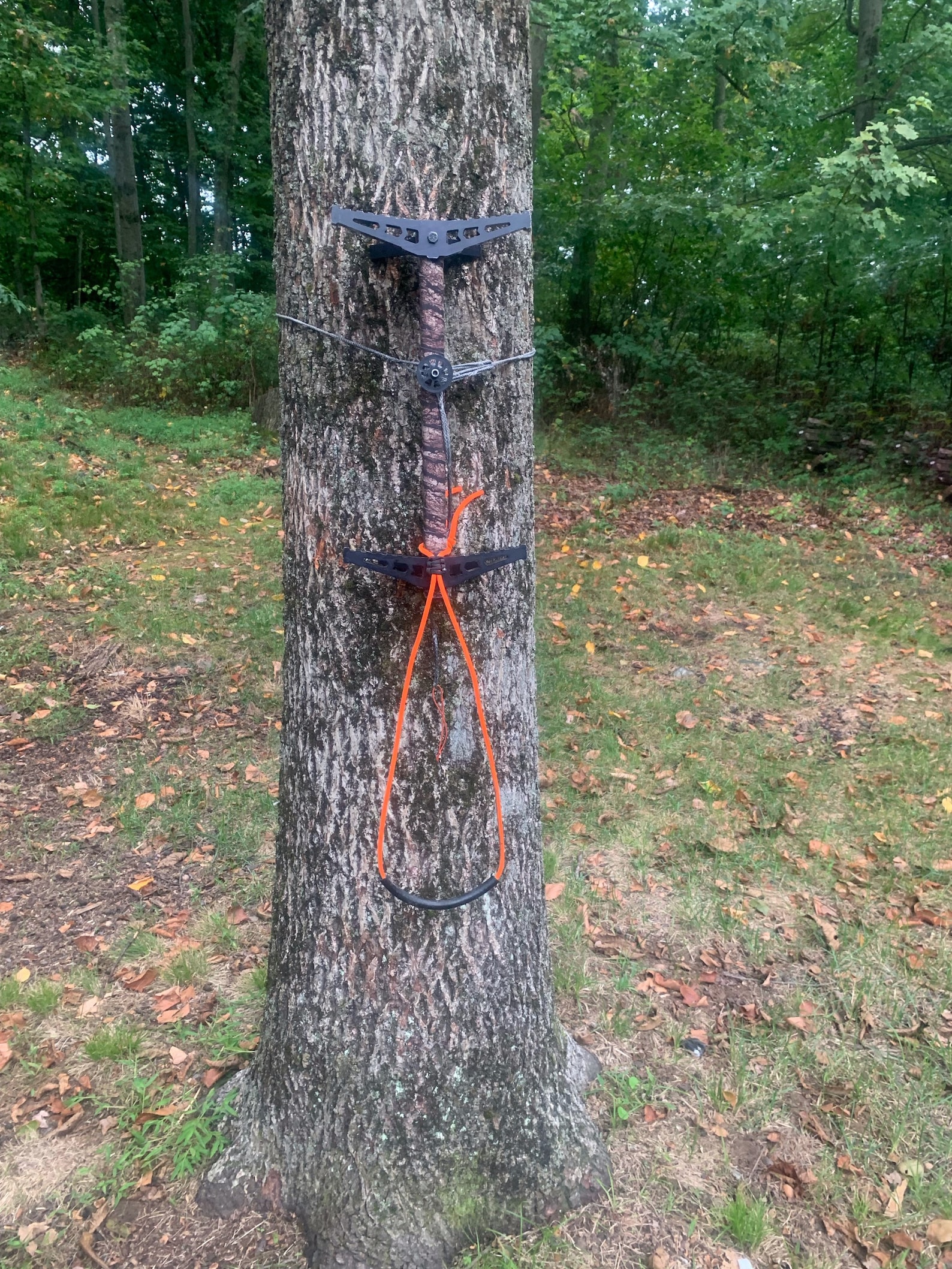 EZ Aider Lite (single Step Aider) - Etsy