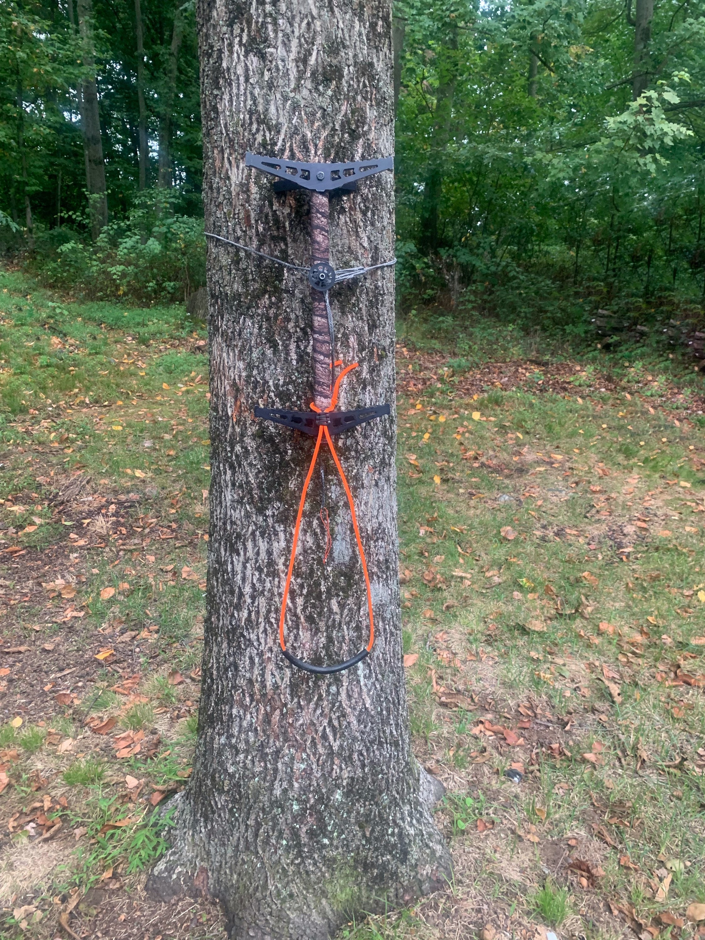 EZ Aider Lite (single Step Aider) - Etsy