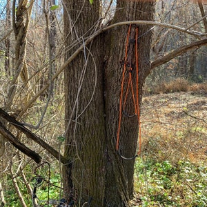 The Extender (CAYG) - Etsy