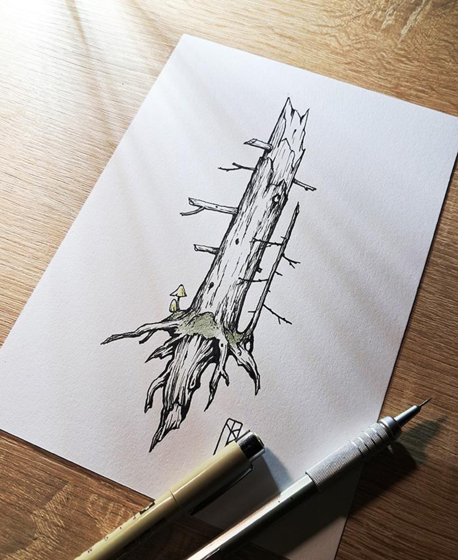 Old Fir Tree - Original Graphic Drawing, Tattoo Ink Linework Sketch ...