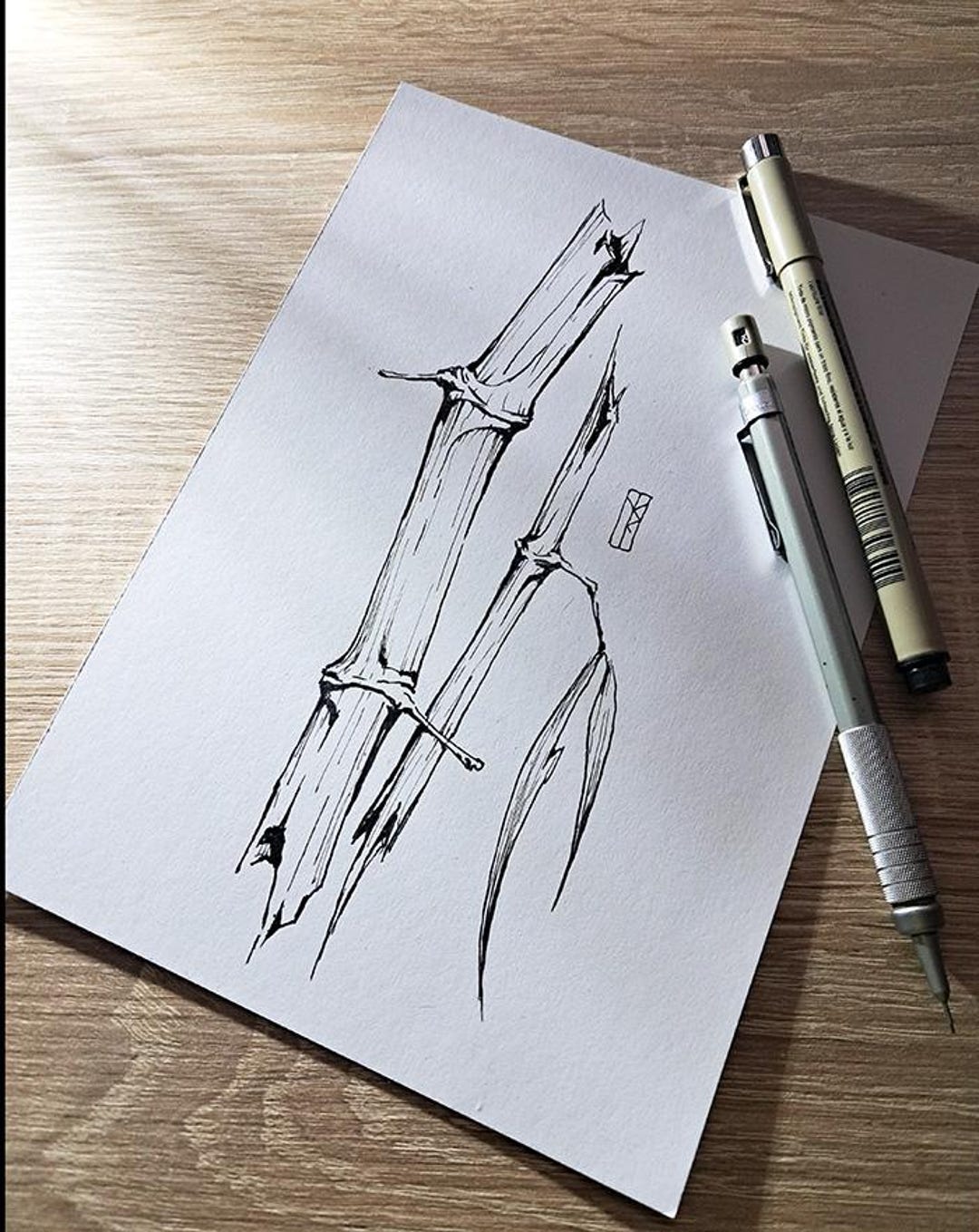 Bamboo Tree - Original Graphic Drawing, Tattoo Ink Linework Sketch ...