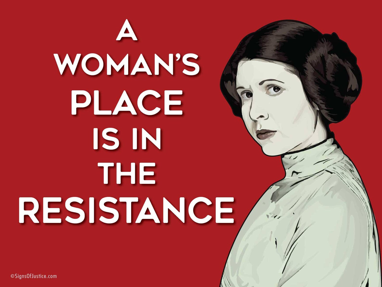Princess Leia Resistance Poster Sign // 2-sided // Protest - Etsy