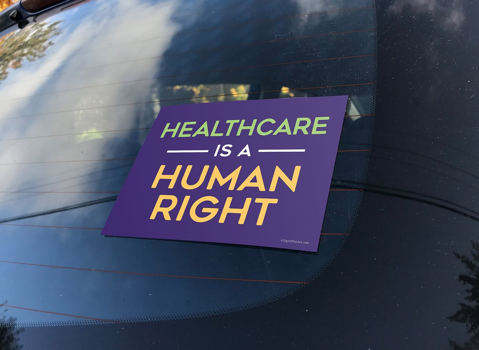 Healthcare is A Human Right Bumper Sticker // 6x4.5 // - Etsy