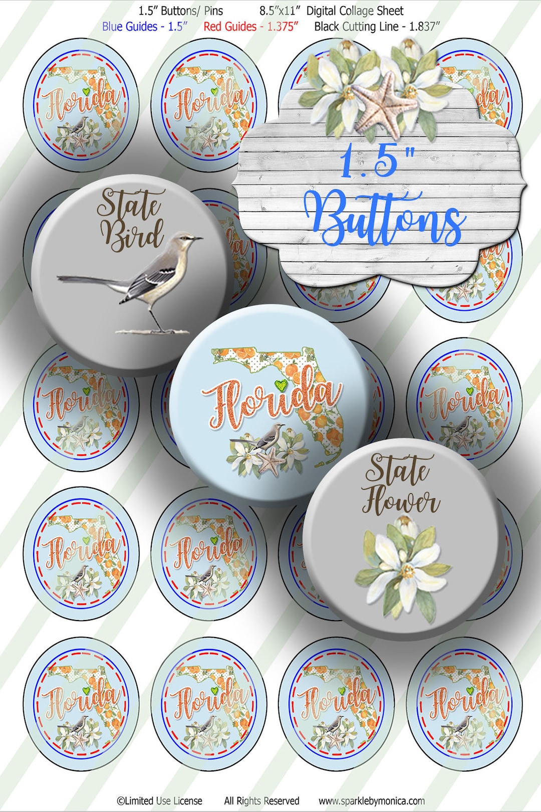 Florida Map With Orange Blossoms and Mockingbird Buttons, Digital ...