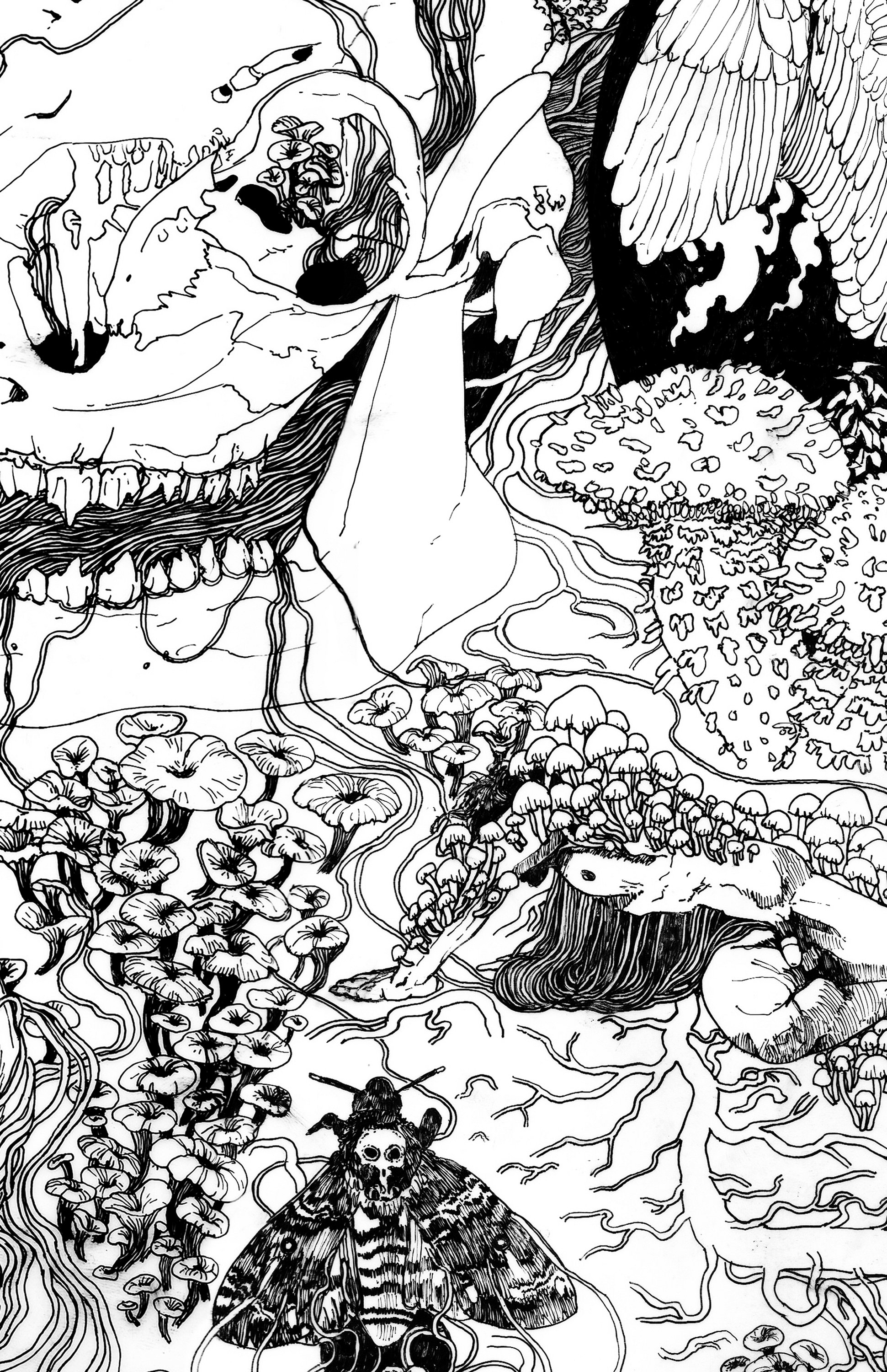 Soul Unwinding 11 X 17 Beautiful Detailed Line Drawing Print for Wall ...