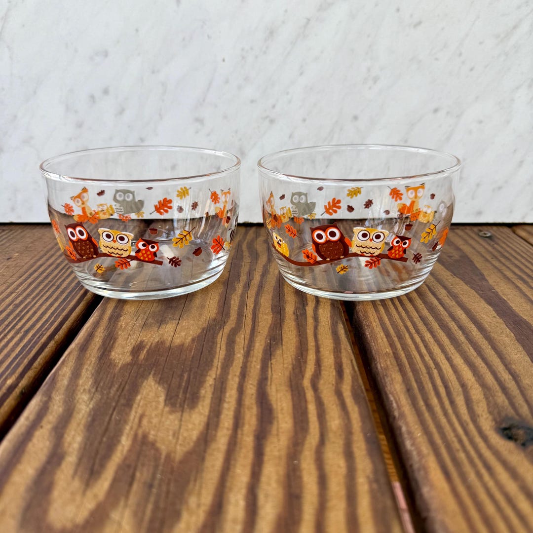 Vintage Set of 2 Libbey Crisa Hoot Owl Fox Racoon Clear Glass Bowls ...