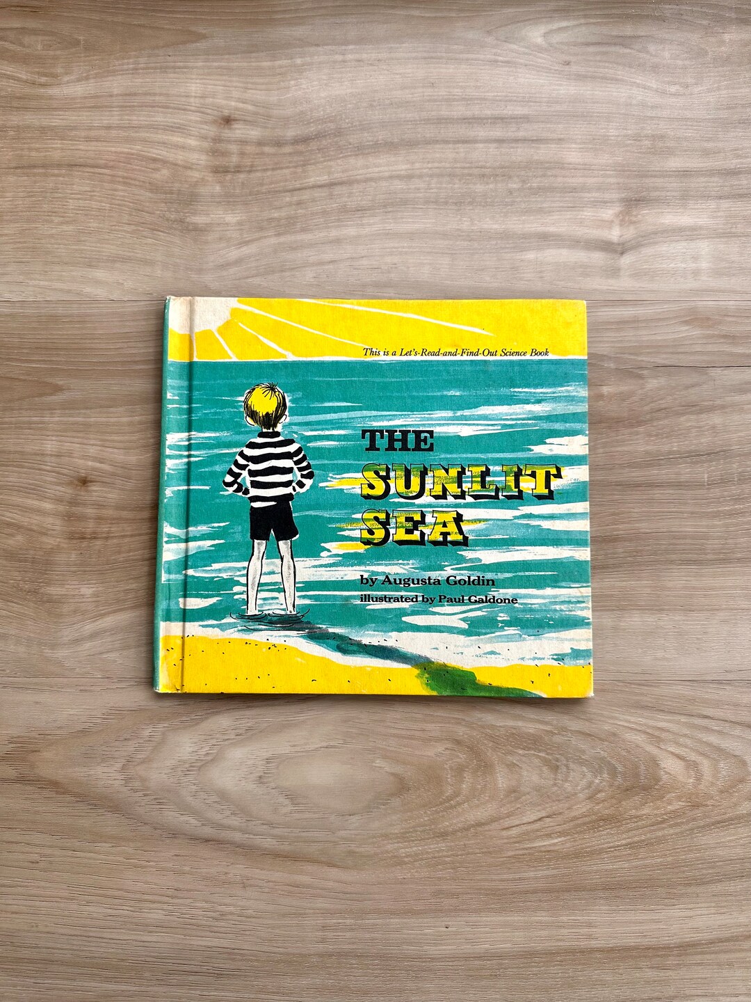 The Sunlit Sea – 1968 Children’s Science Book | Read-and-find-out ...