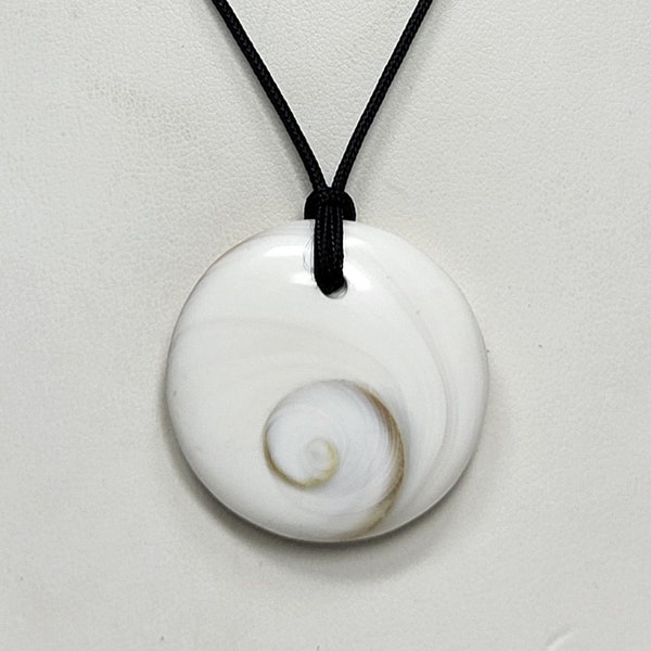 Operculum Shell - Etsy