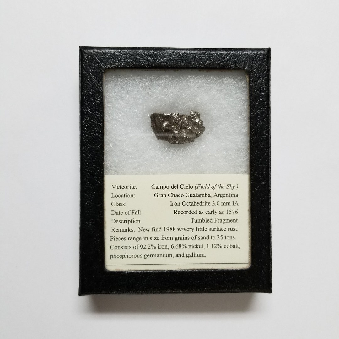 Campo Del Cielo Meteorite, Free Shipping (20198), Meteorite Specimen ...