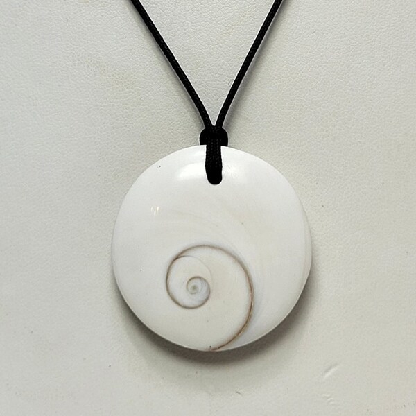 Operculum Shell - Etsy
