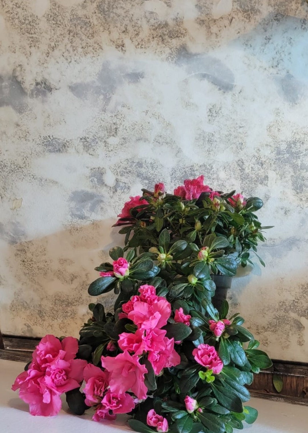 Aging Mirror Vintage Mirror Tiles Antique Mirror Tiles - Etsy