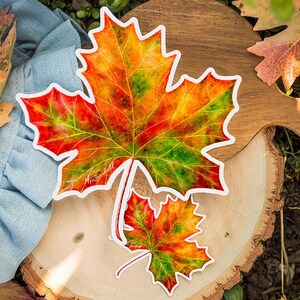 Maple Fall Leaf Sticker (waterproof) - Etsy