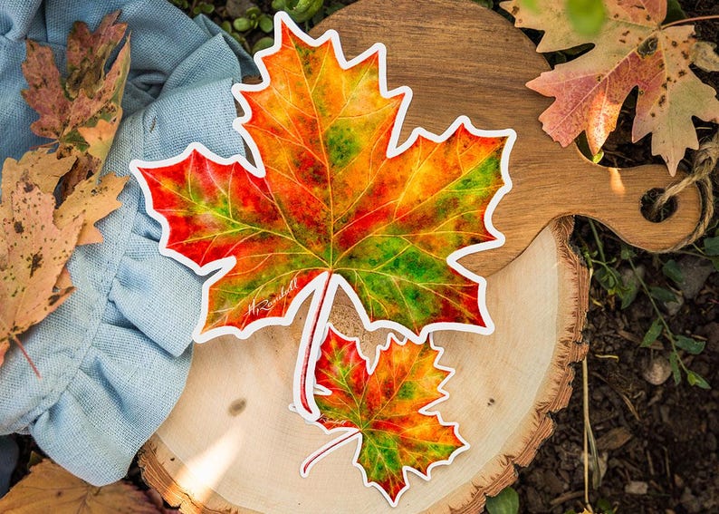 Maple Fall Leaf Sticker (waterproof) - Etsy