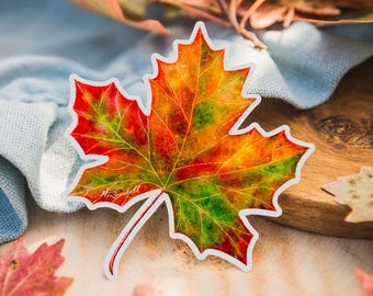 Maple Fall Leaf Sticker Hand-drawn - Etsy