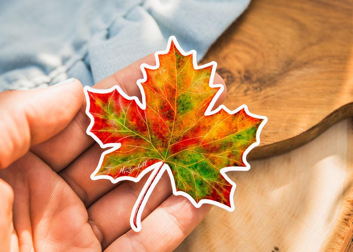 Maple Fall Leaf Sticker (waterproof) - Etsy