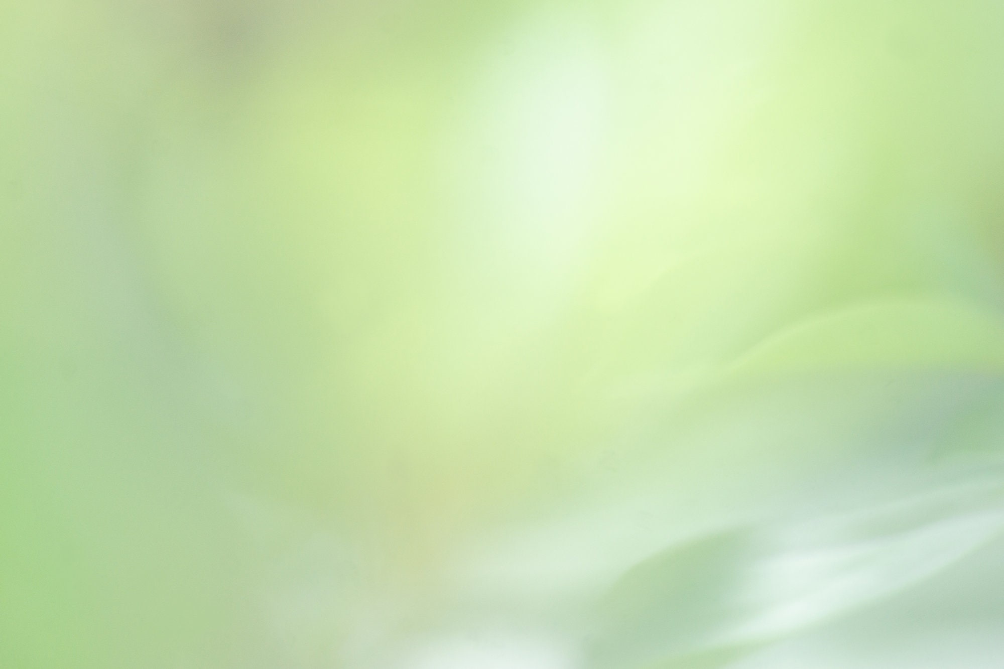 Light Green Photography Backdrop: Printable Color Overlays (digital ...
