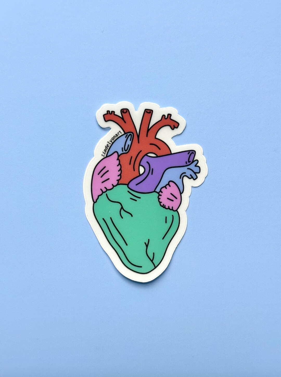 Anatomical Heart Water Bottle Sticker - Etsy