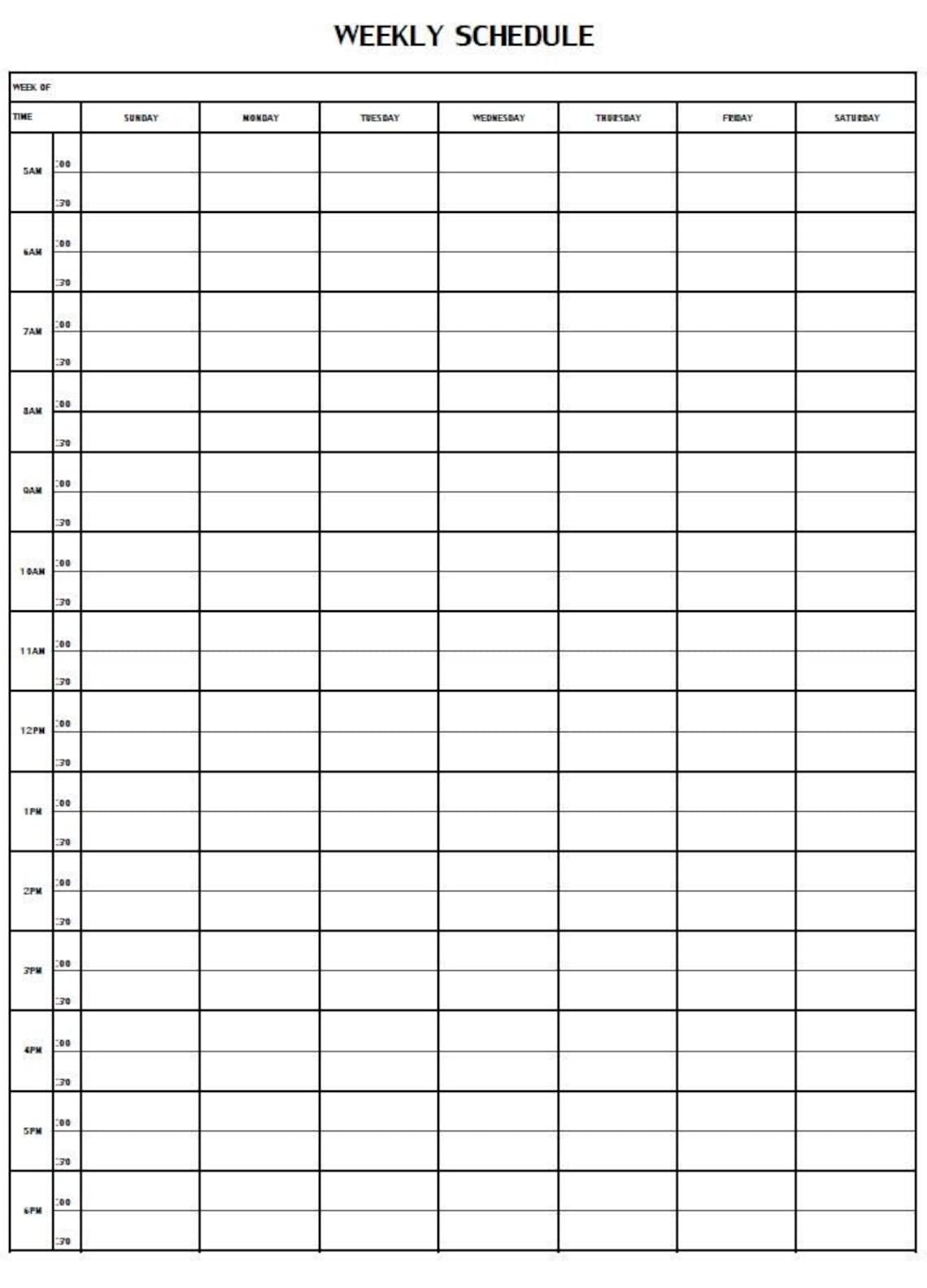 30 Minute Weekly Schedule & Time Tracker Template - Etsy