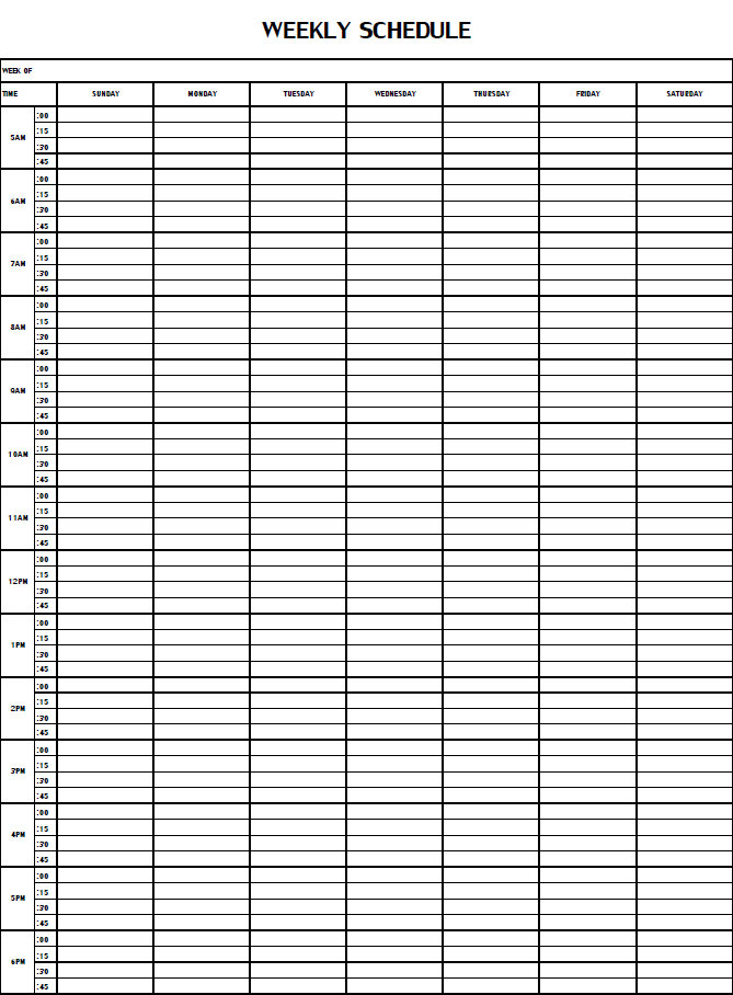 15 Minute Weekly Schedule & Time Tracker Template - Etsy