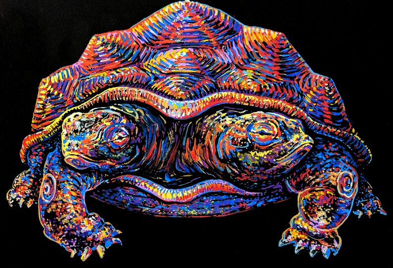 Two-headed Tortoise Vinyl Sticker - Polycephalic Sisters - Etsy