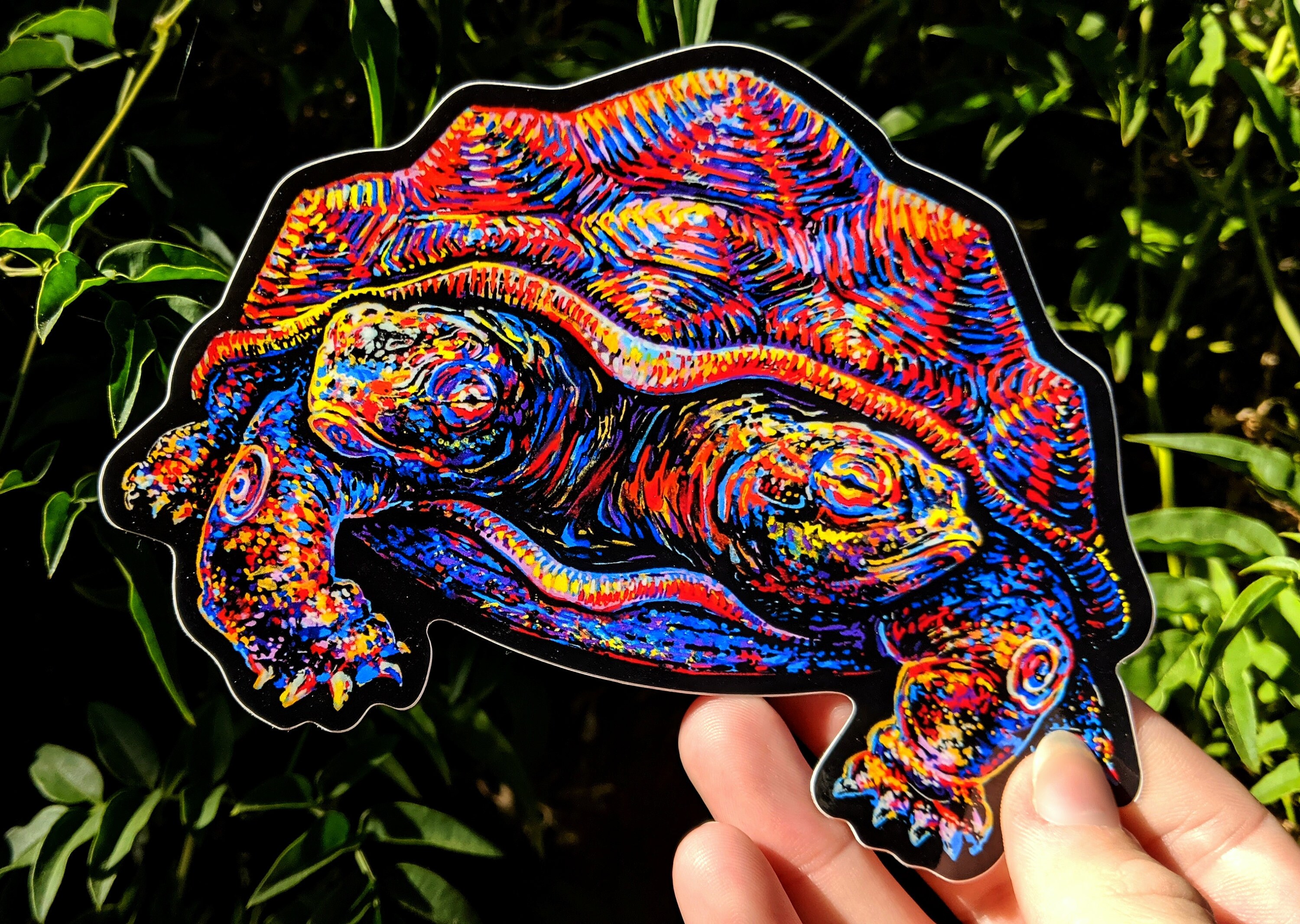 Two-headed Tortoise Vinyl Sticker - Polycephalic Sisters - Etsy