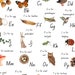 Nature Themed Alphabet Posters & Flash Cards - Etsy