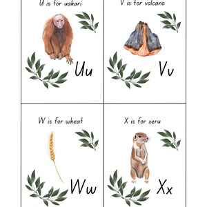 Nature Themed Alphabet Posters & Flash Cards - Etsy