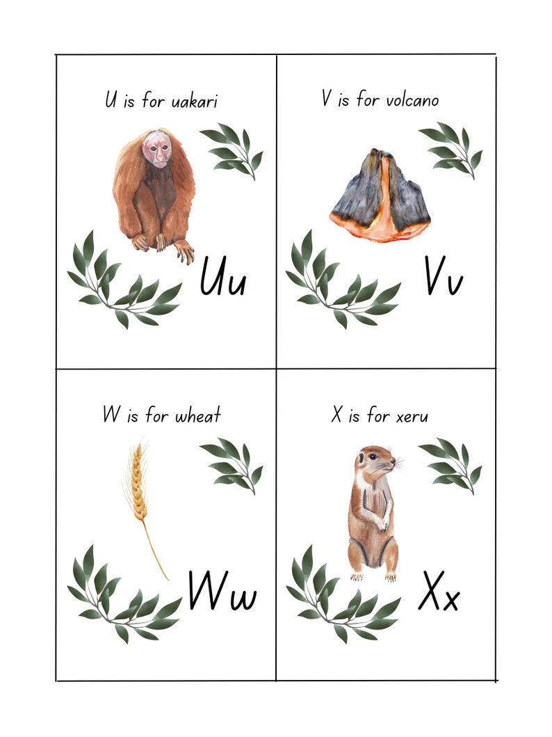 Nature Themed Alphabet Posters & Flash Cards - Etsy