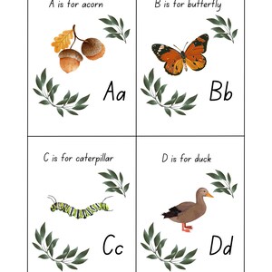 Nature Themed Alphabet Posters & Flash Cards - Etsy