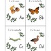 Nature Themed Alphabet Posters & Flash Cards - Etsy