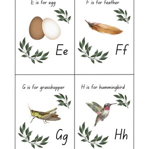 Nature Themed Alphabet Posters & Flash Cards - Etsy