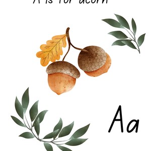 Nature Themed Alphabet Posters & Flash Cards - Etsy