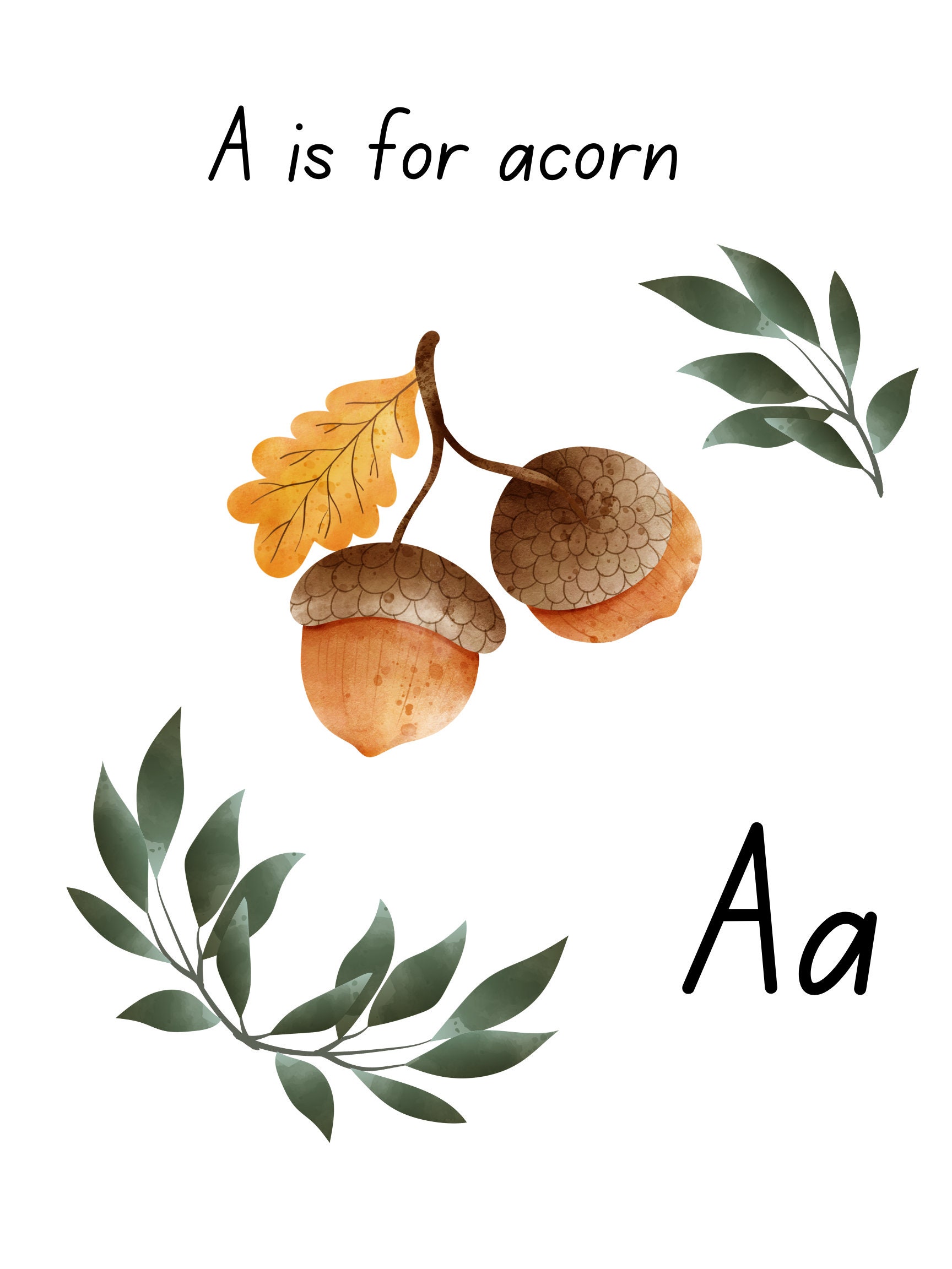Nature Themed Alphabet Posters & Flash Cards - Etsy