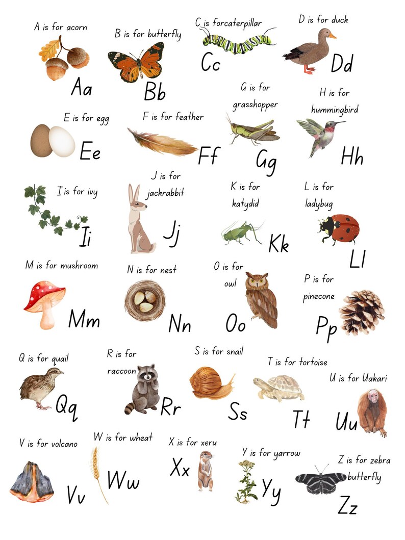 Nature Themed Alphabet Posters & Flash Cards - Etsy