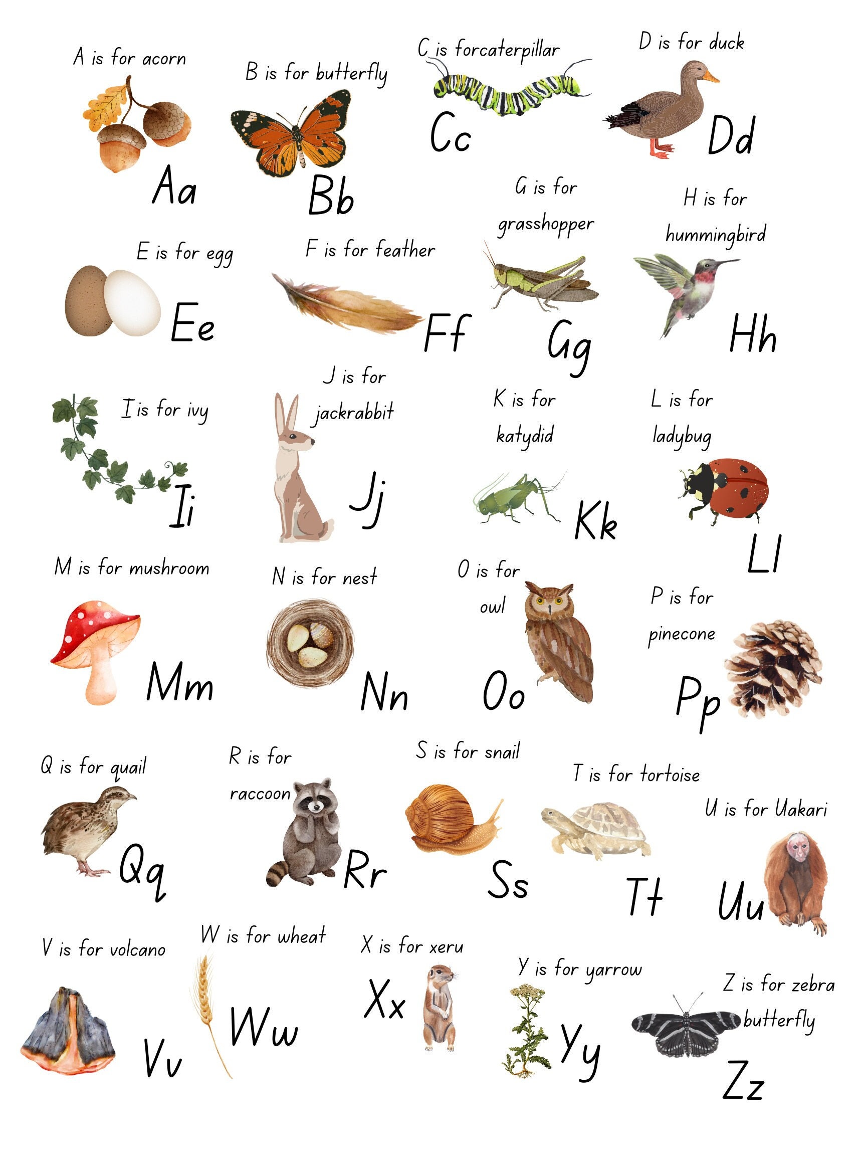 Nature Themed Alphabet Posters & Flash Cards - Etsy