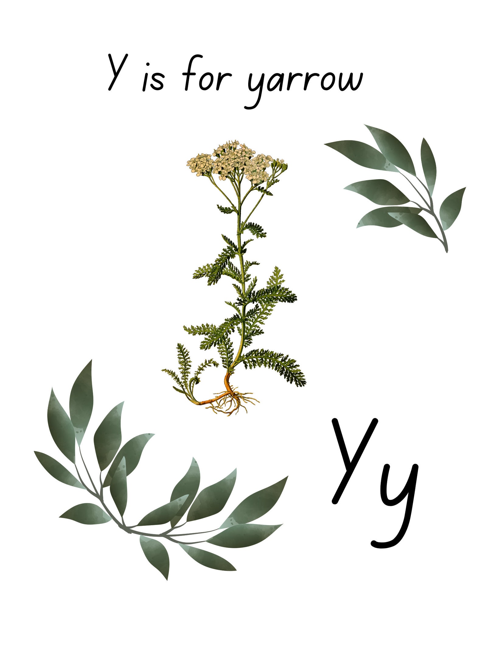 Nature Themed Alphabet Posters & Flash Cards - Etsy